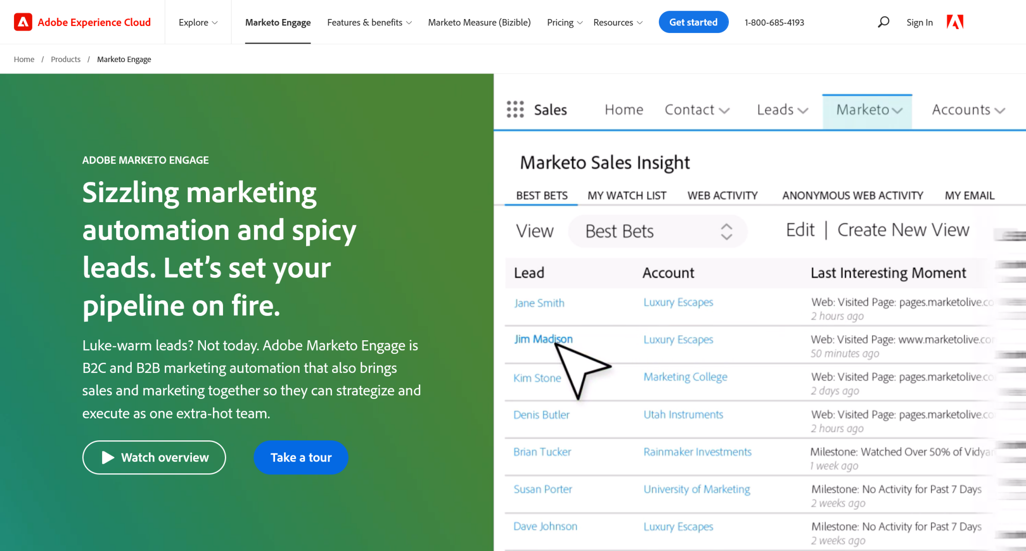 15 Best B2B Software Solutions To Ensure Growth In 2026 By Scaleo